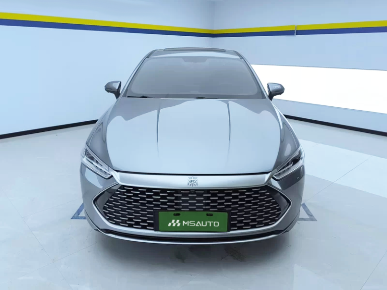 BYD Qin PLUS 2023 Champion Edition DM-i 120KM Super Model - MSauto